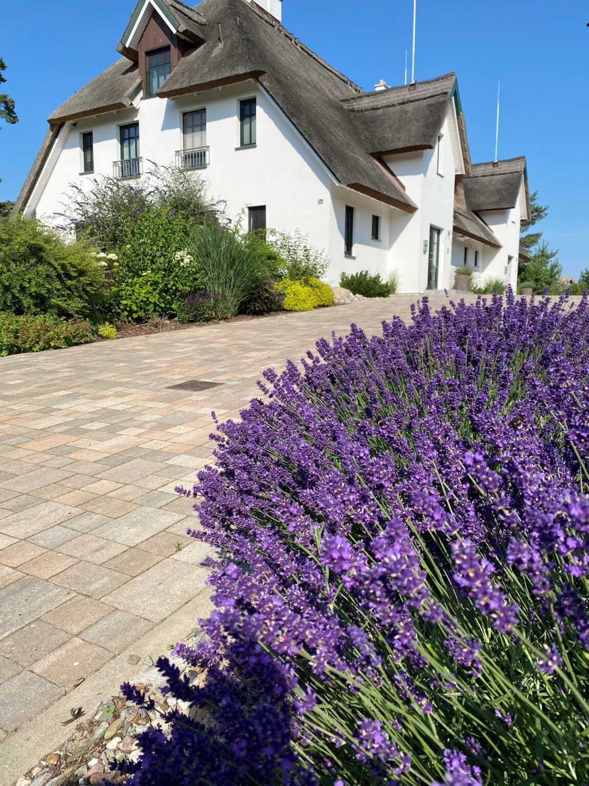 Ferienwohnung Usedom im Kamphof